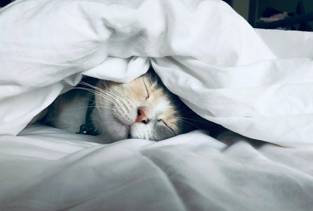 Better Alternatives to Thread.sleep() in Java – Improve Performance ...
