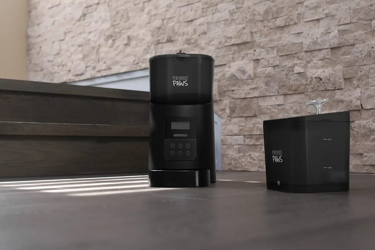 Automatic Pet Feeder and Water Fountain For Hassle Free Pet Care | by ...