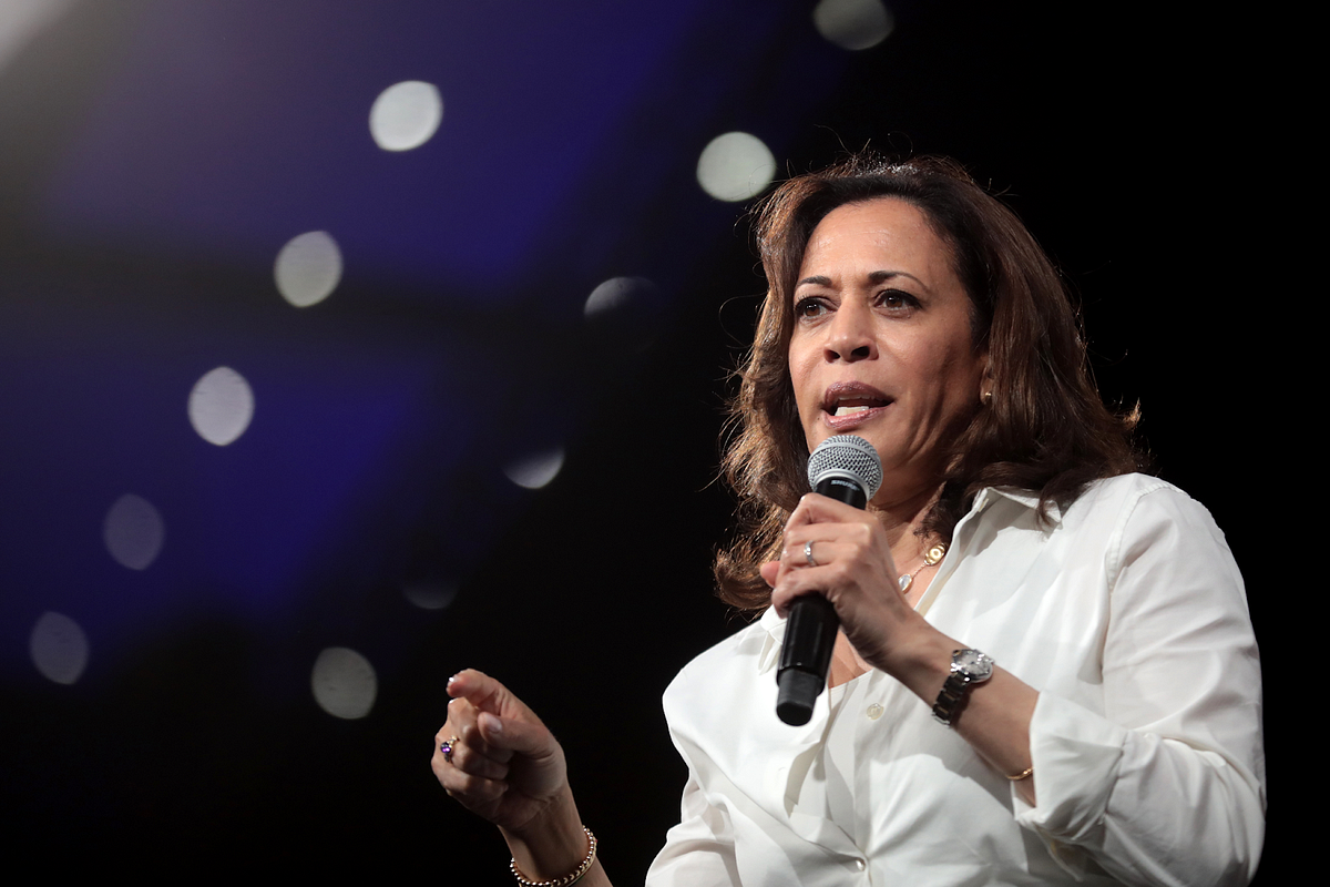 Kamala Harris’s Earned Income Tax Credit Expansion Proposal | by Pavel Makarchuk | Oct, 2024 ...