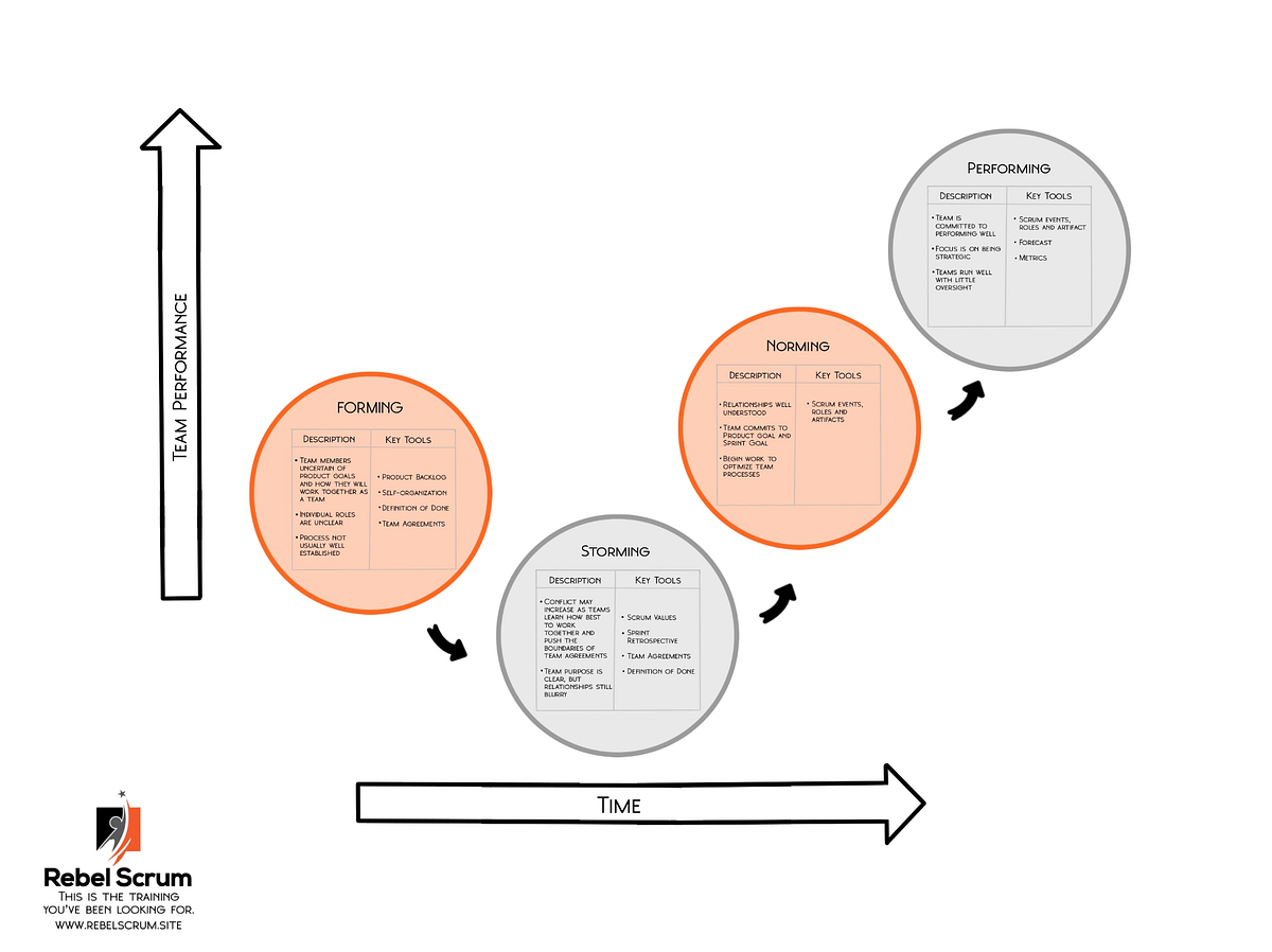 Standard Model for the Stages of Team Development- Bruce Tuckman Model ...