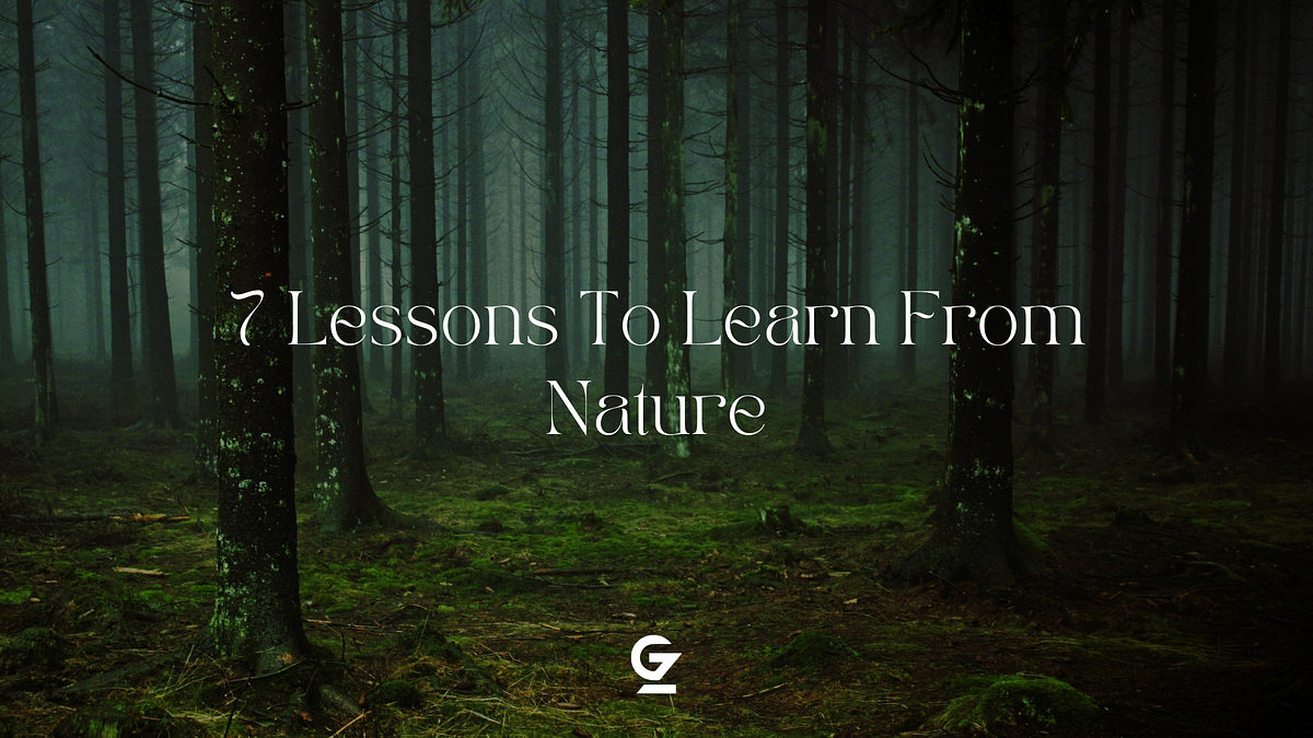 7 Lessons We Can Learn From Nature | by Naman Sharma | GoingZero | Medium