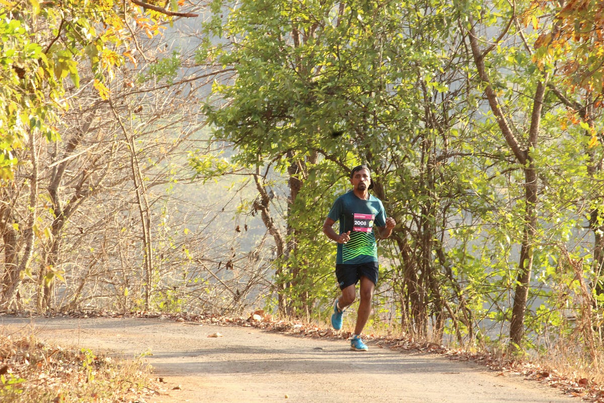 Runner’s Life Newsletter. Highlights and stories from February 4… | by ...