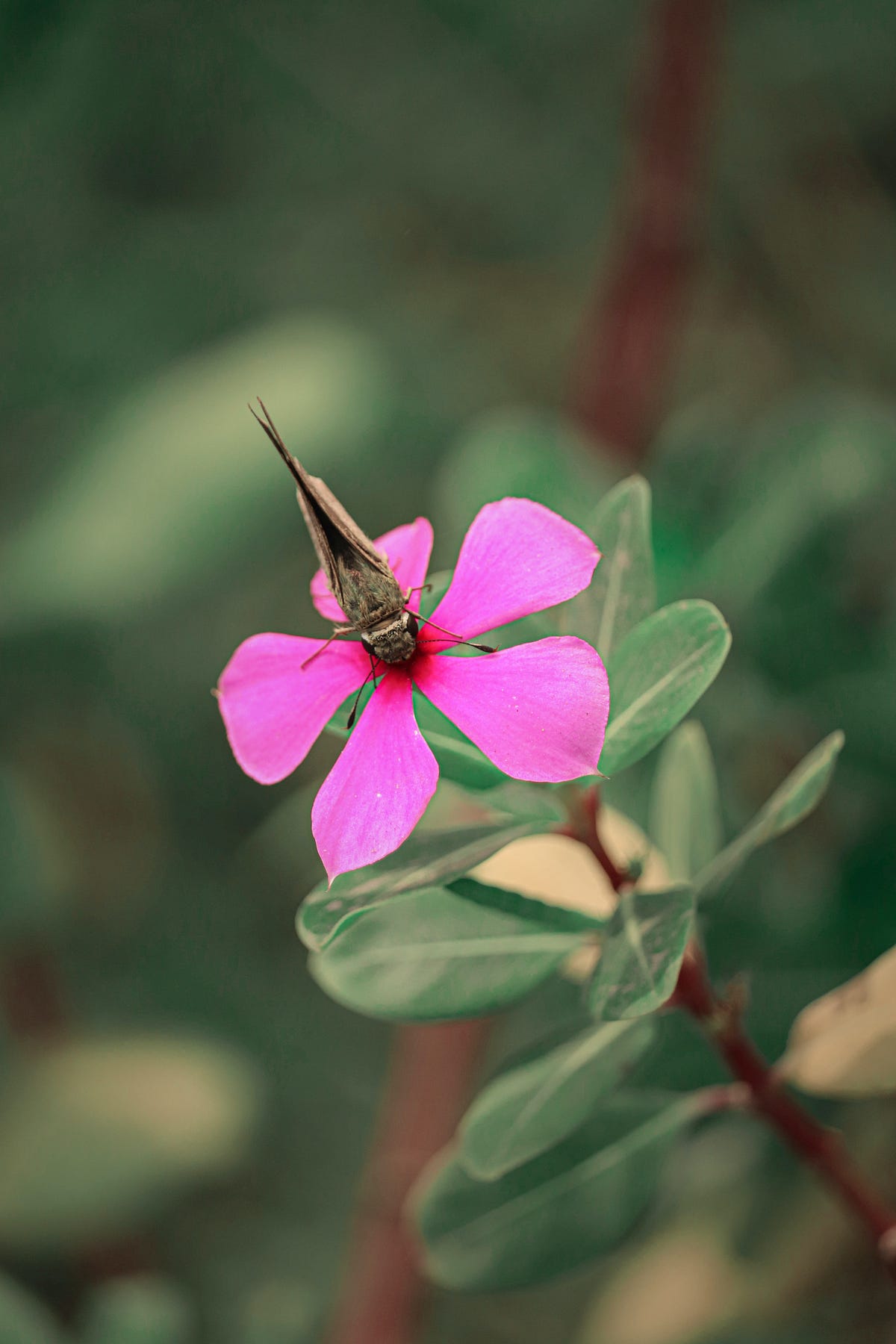 Why Tomorrow Will Be Better. Photo by Jamshaid Mughal on Unsplash | by ...