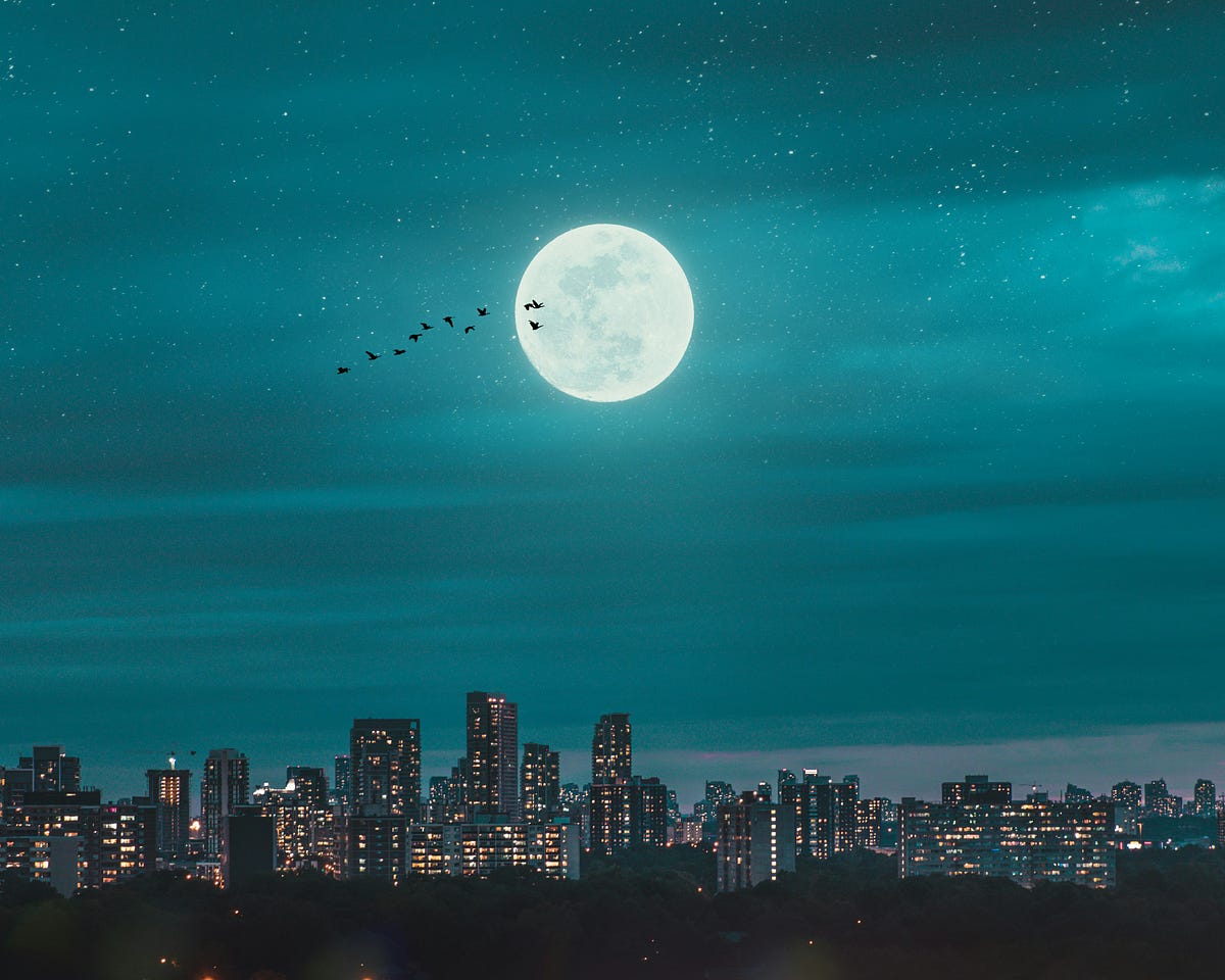 The Warm Usher. watching the night sky is a romantic… | by Kharmyn Saje ...