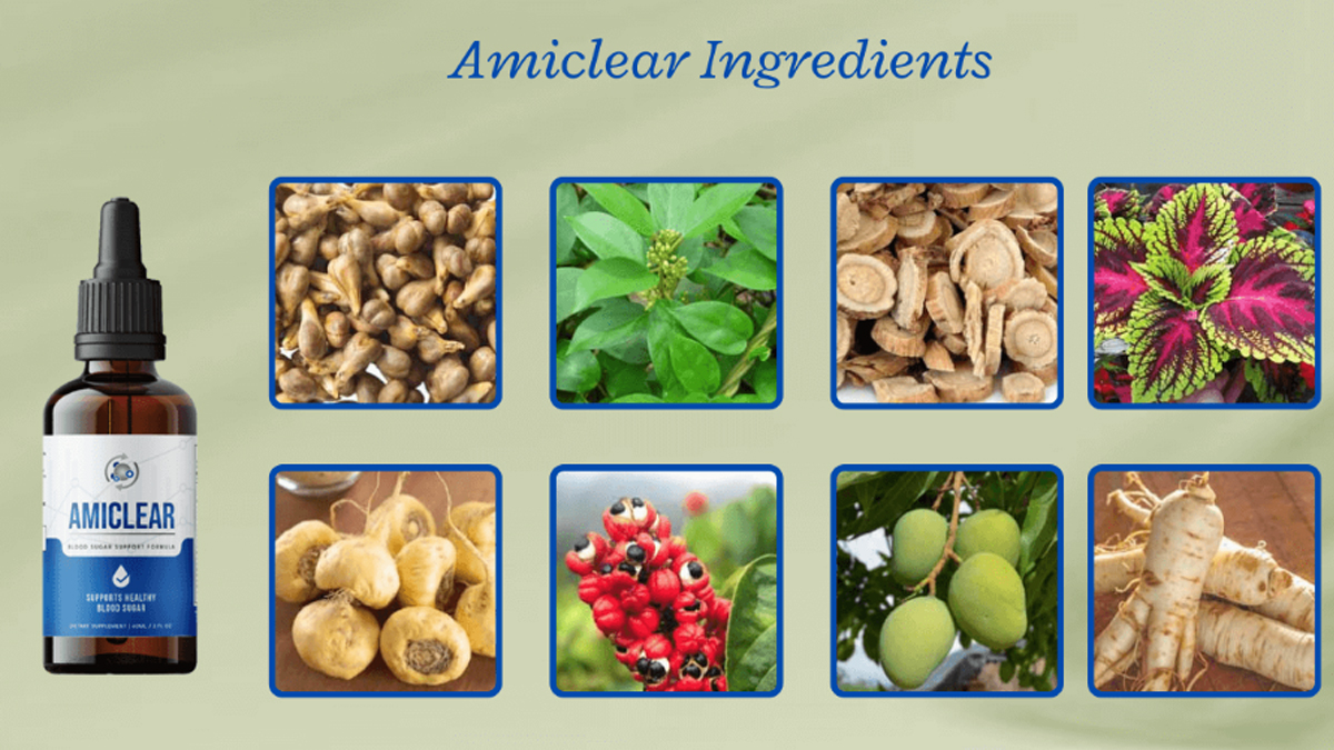 AMICLEAR — AmiClear Review — (( 🔥BIG WARNING!! 2024⚠️ )) — AmiClear ...
