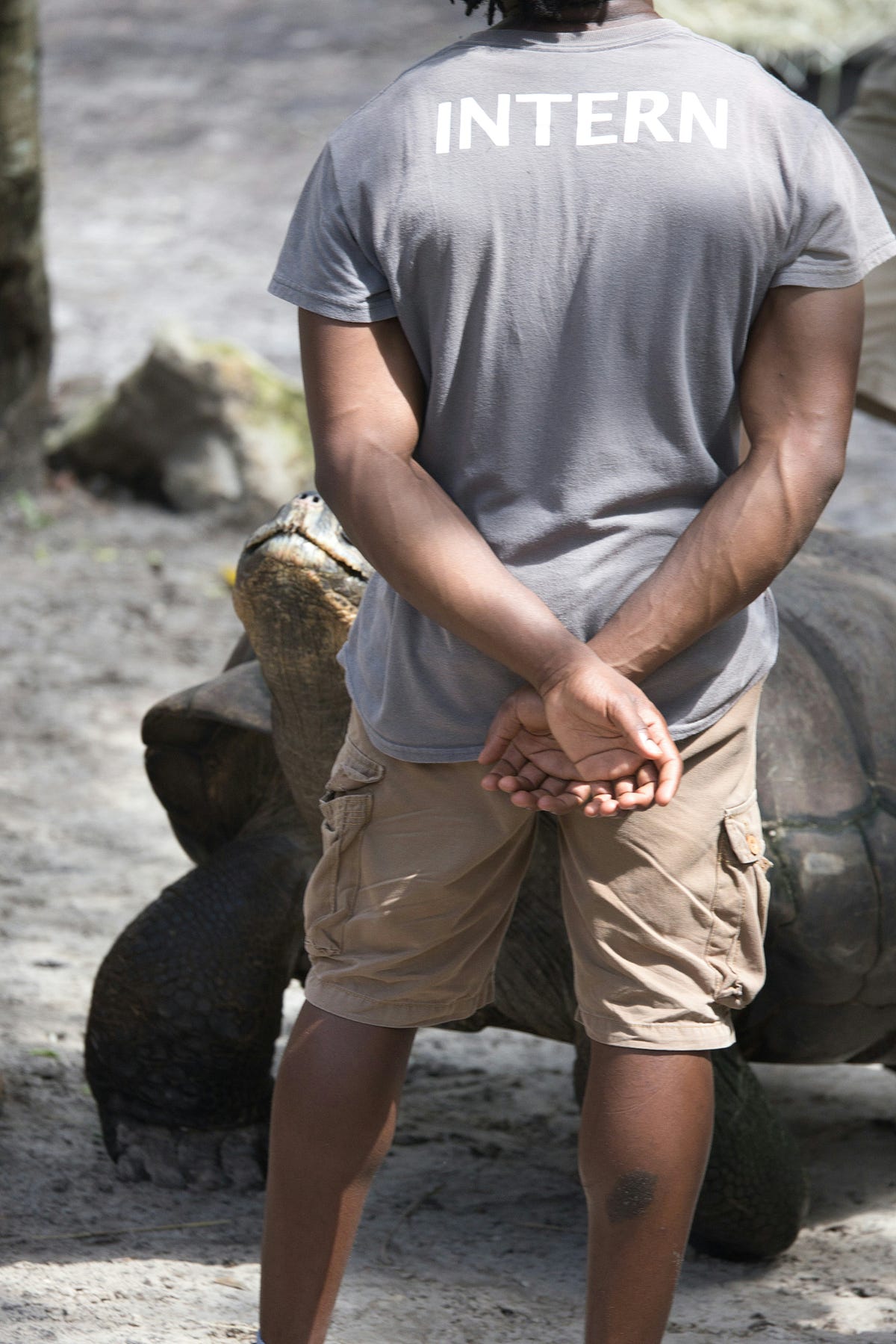 The Intern Poem. Poetry From The Courtroom | by Determination ...