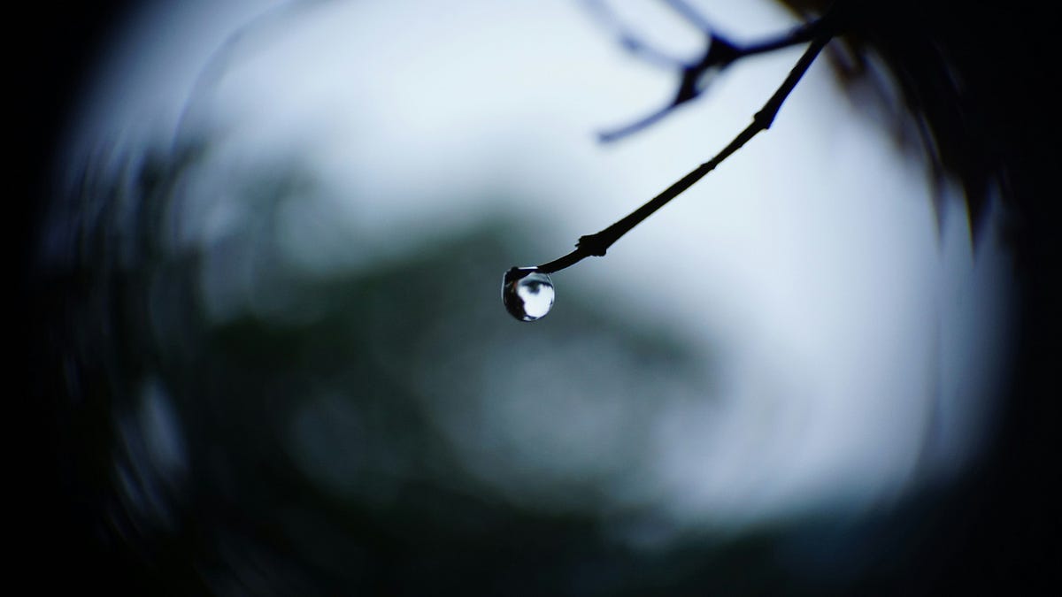 Memories in Every Raindrop. A single raindrop falls from the sky… | by ...