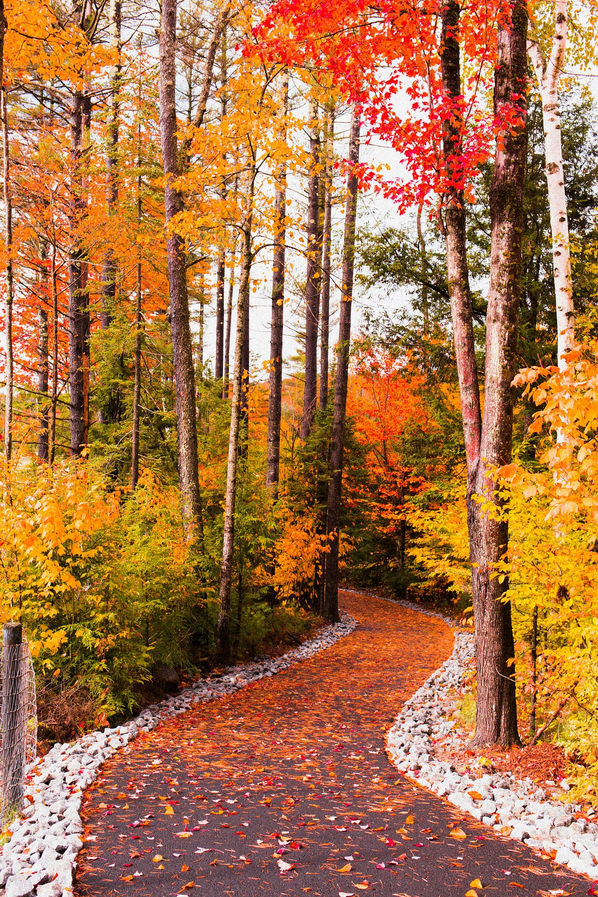 Stop Calling It a Journey - Lisa Jordan - Medium