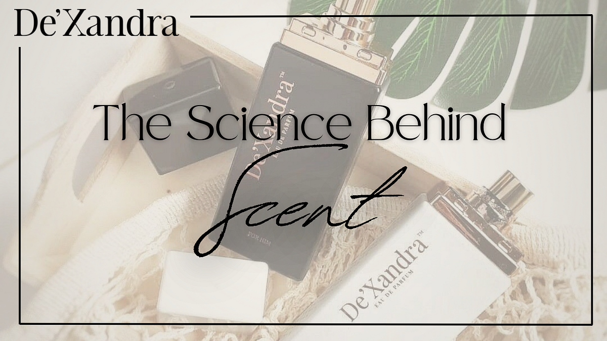 The Science Behind Scent. Have you ever caught a whiff of a… | by ...