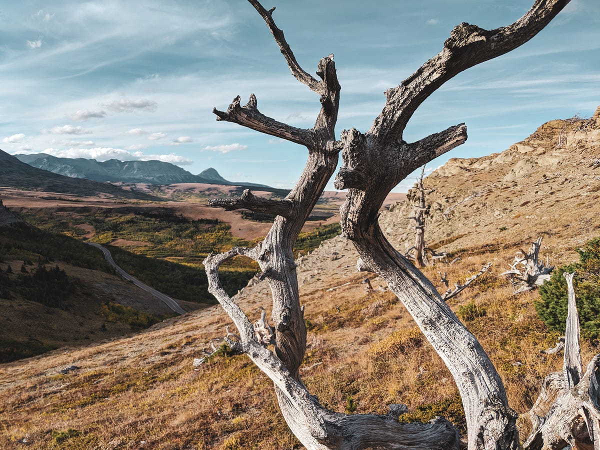 Make Form Handling Easy In React Apps With Formik — Hooks By John Au Yeung Dev Genius