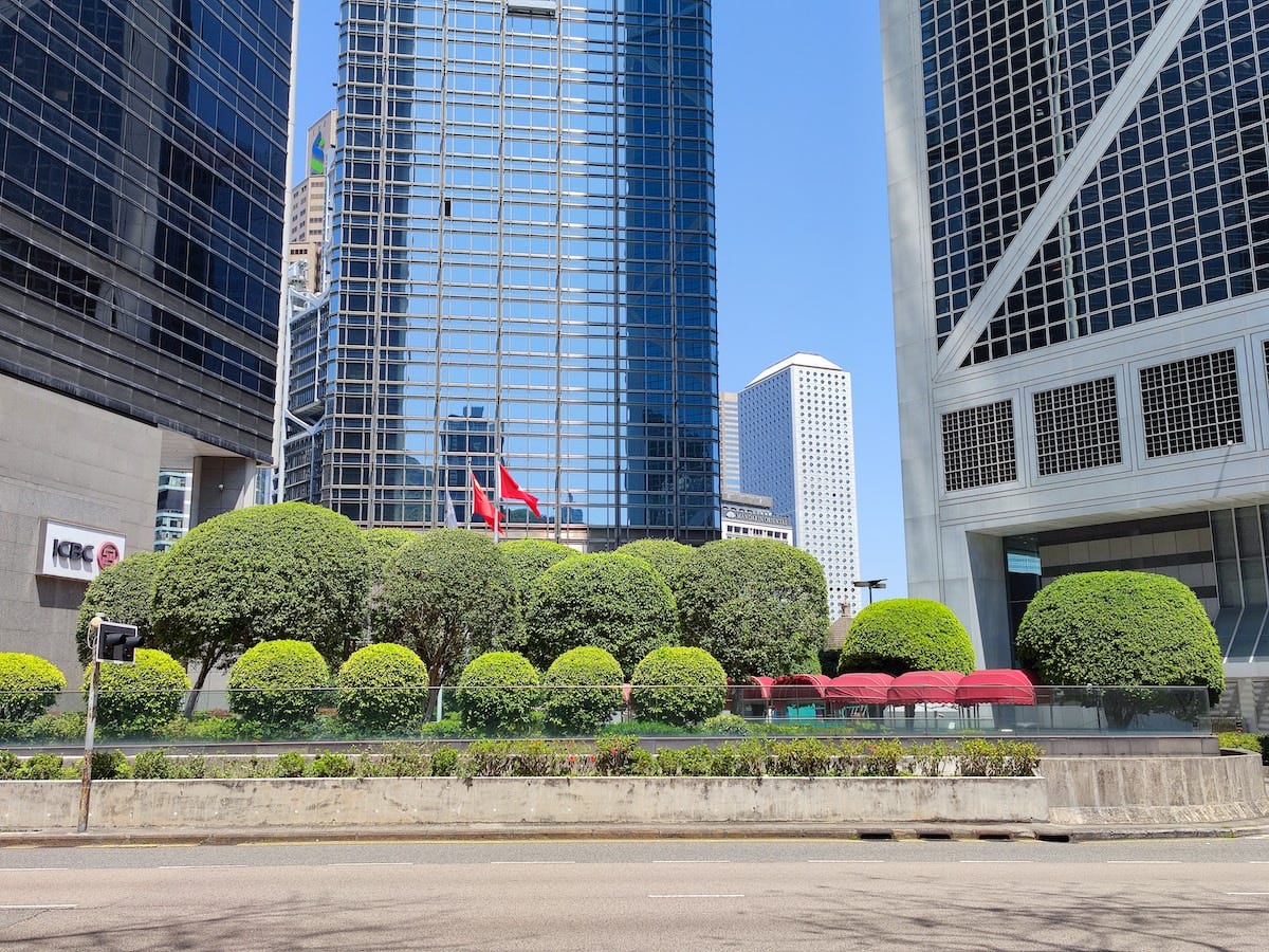 Hedge Trimming London: Shaping Green Spaces with Precision | by Junk ...