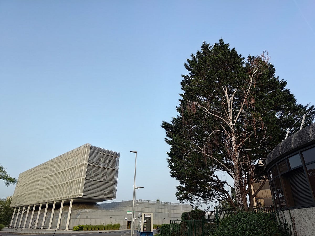 【法國雙聯】陽明交通大學雙聯學位申請 — 申請時程及注意事項 - Ya-Rou HSU - Medium