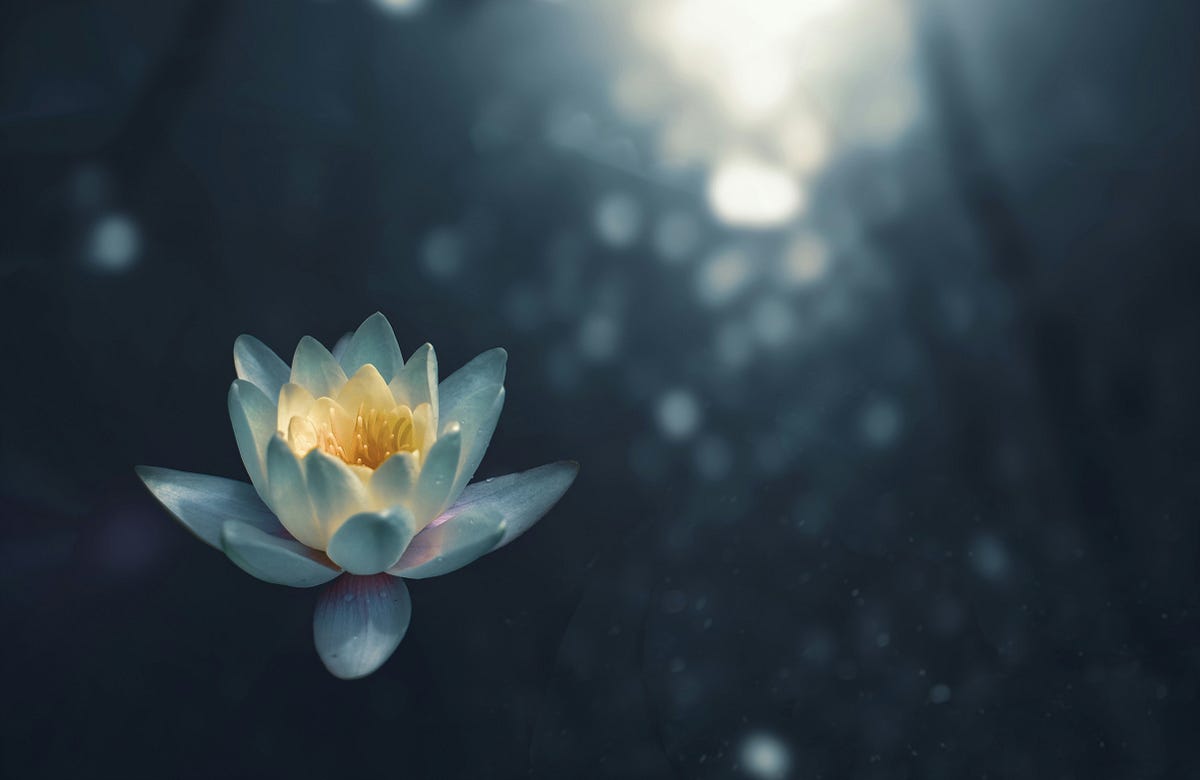 The Step that Changed Life - Fatima shk - Medium