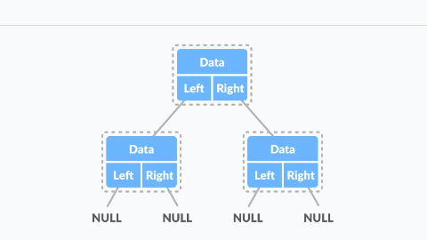 Understanding Binary Trees: Structure, Memory Allocation, and Traversal | by Sadeksltn | Medium