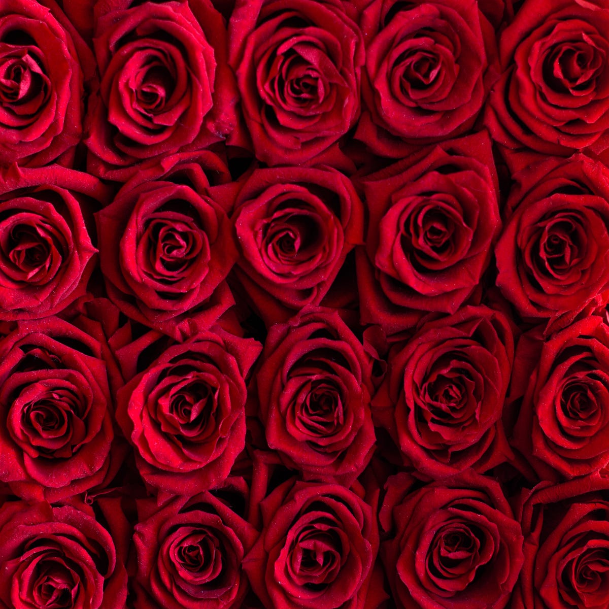 Ooey Gooey Love. A love poem for everyone | by Megan Minutillo | Medium