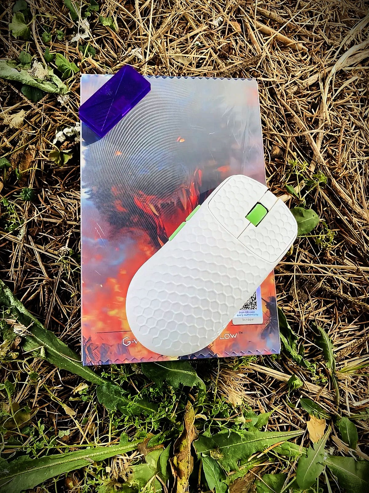HTM Plus Review: G-Wolves Finally Go Big | by Damian Cooper | Medium