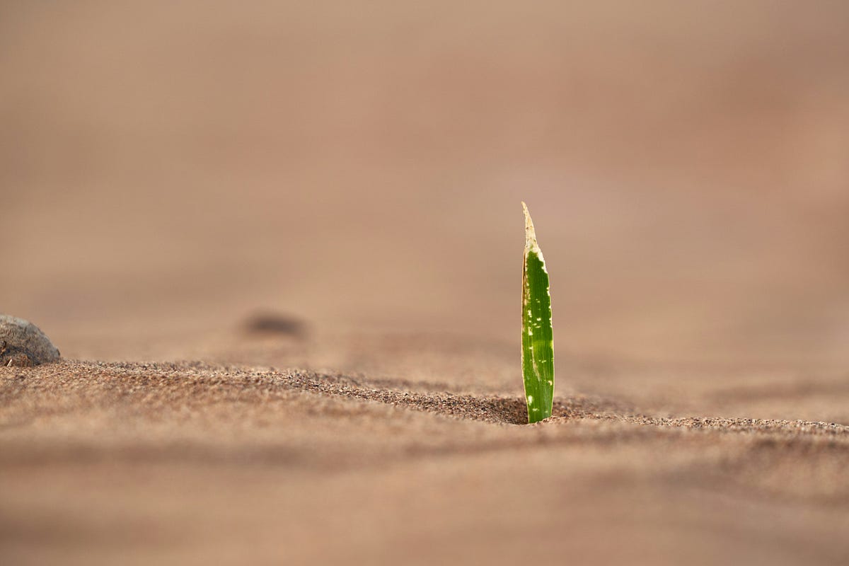 Walking with heavy steps. I am walk with heavy steps every day. | by ...
