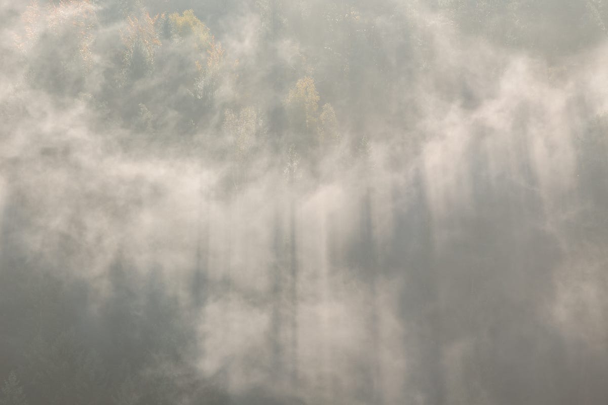 Brain Fog: The Invisible Struggle | by Alsie🌻 | The Unexpected Autistic ...