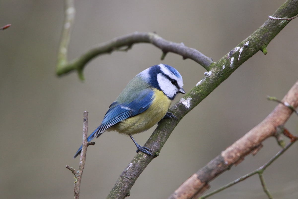 JavaScript Best Practices for Writing More Robust Code — Async Code | by John Au-Yeung | Level ...