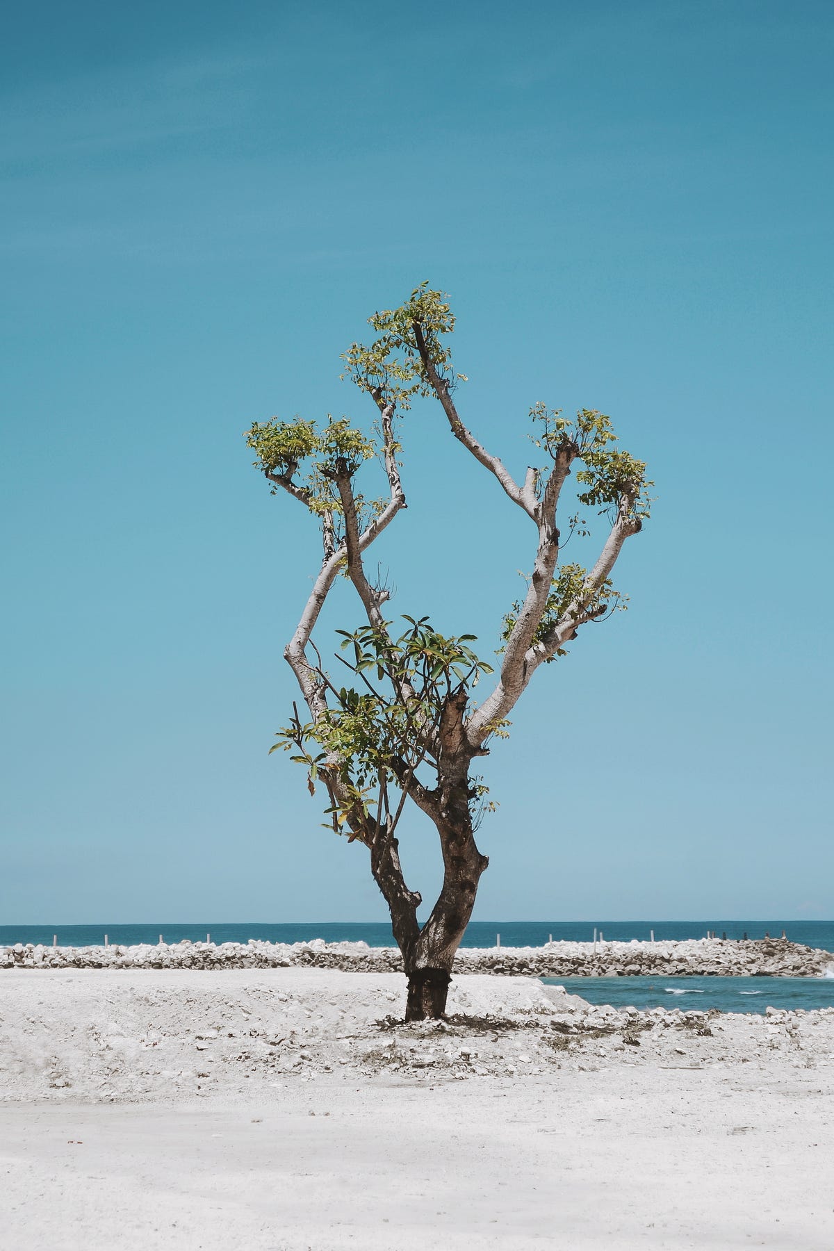 Life is Not Fair. Life is not fair and it cares little… | by Matt ...