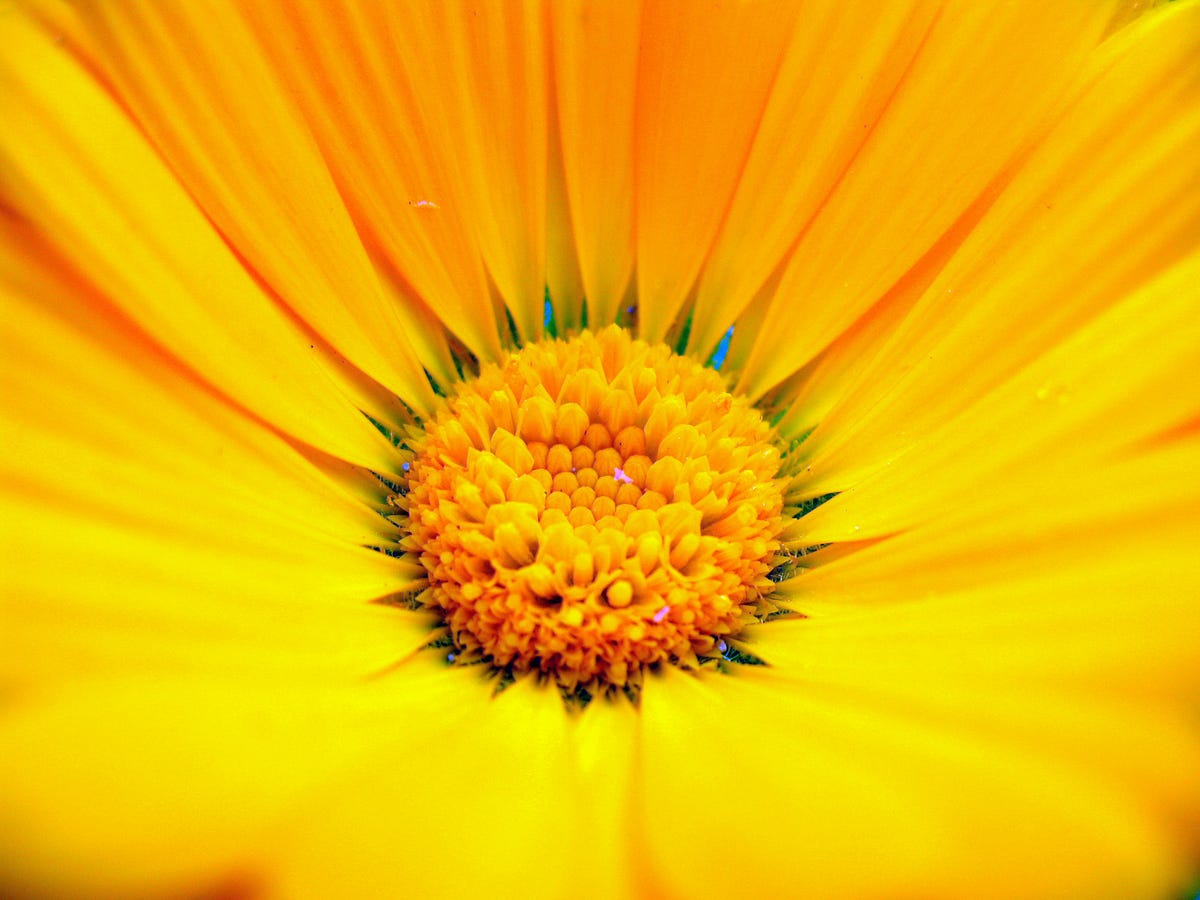 3 Steps to Your Spiritual Legacy. There are 3 things that we need to ...