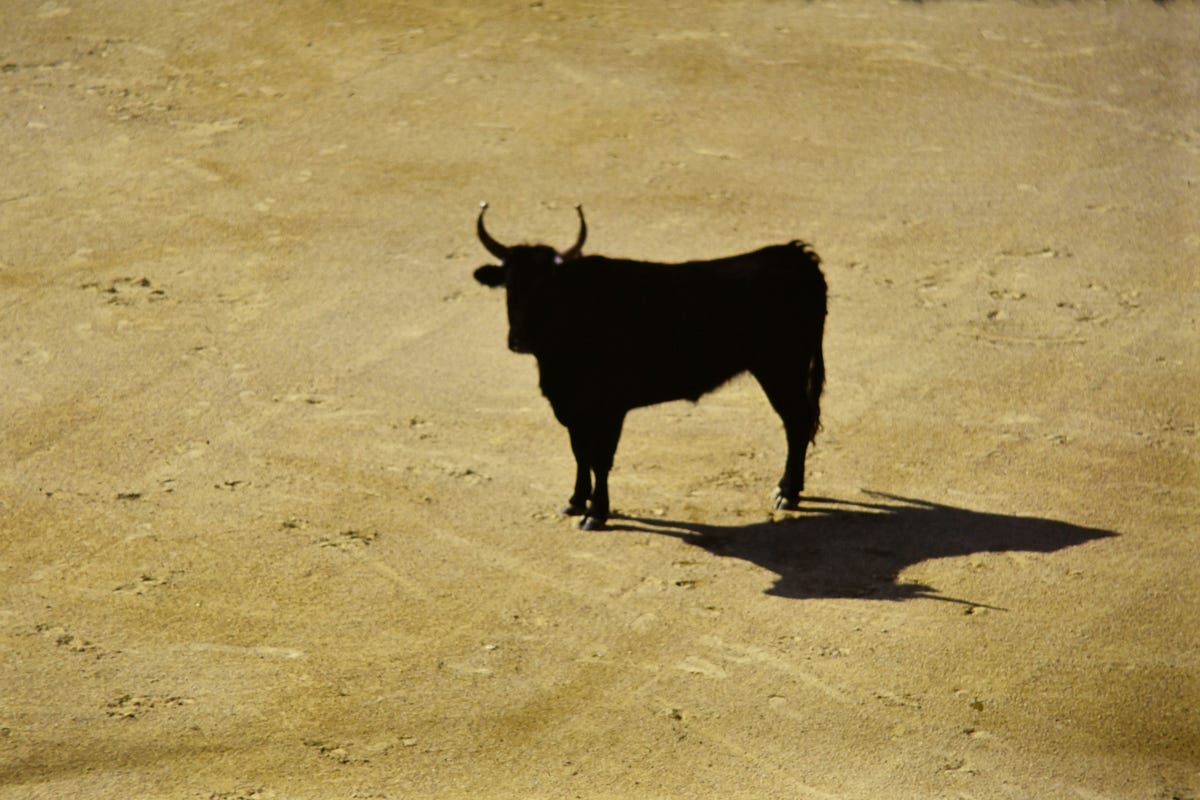 Here’s a secret to BEING THAT BULL! | by Raksha R Mohare | Medium