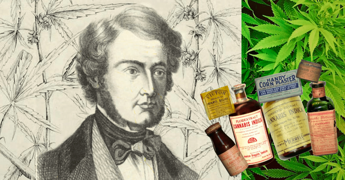The Remarkable Reintroduction of Cannabis Indica to Western Medicine by ...