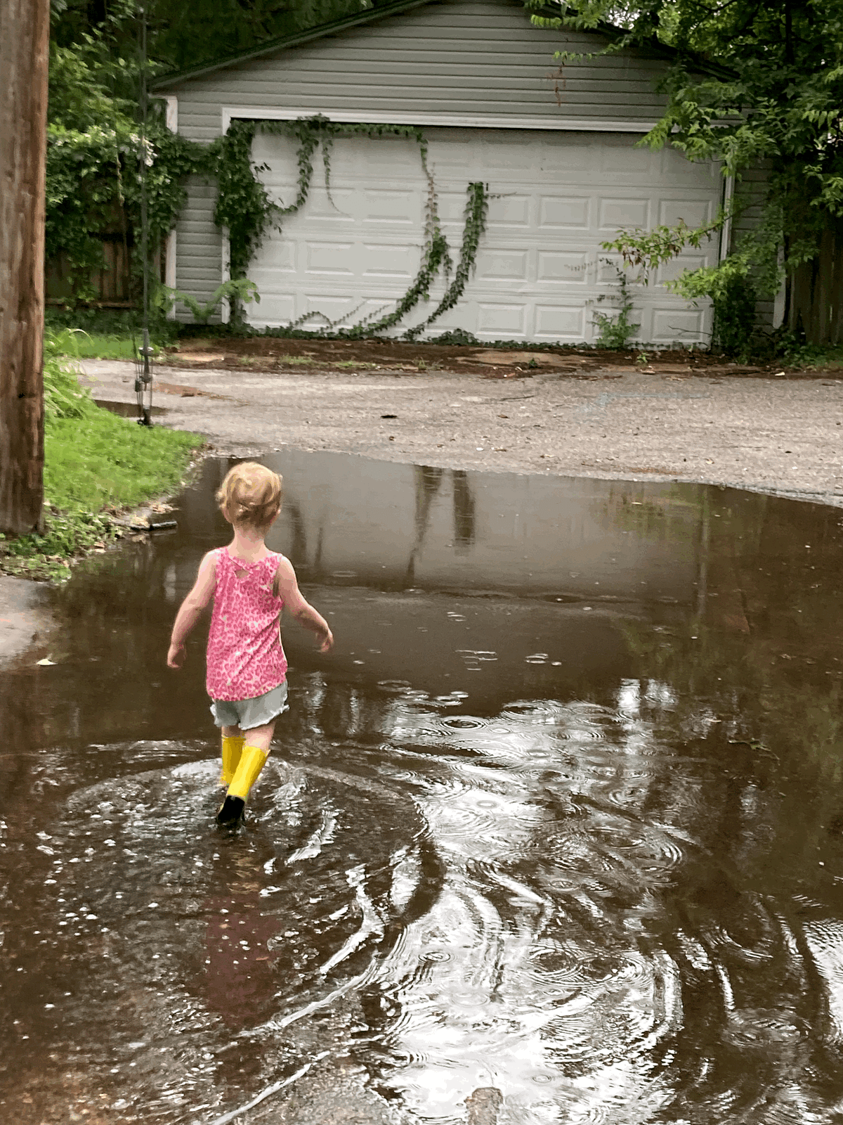 “Most People Find Too Little Beautiful:” Puddles, Van Gogh, and Christ ...