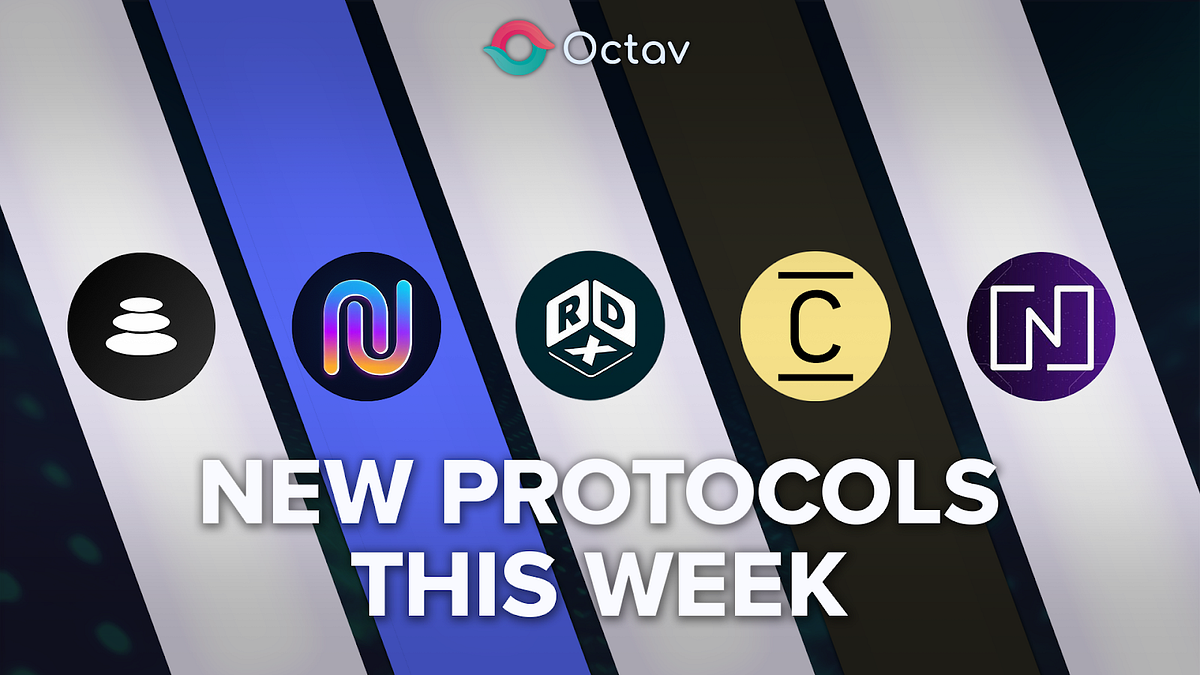 New Protocols on Octav: December 20 | by Octav | Dec, 2024 | Medium