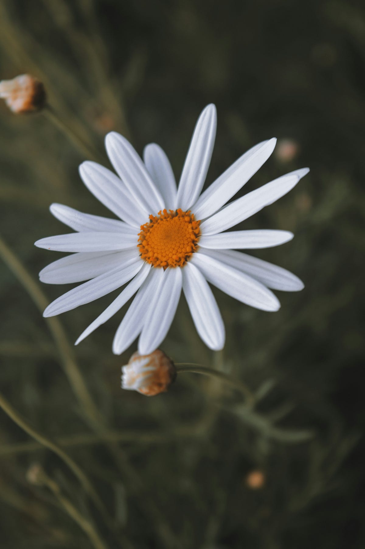 Why Do Some Men Only Find Their Ambition After Losing the Woman Who ...