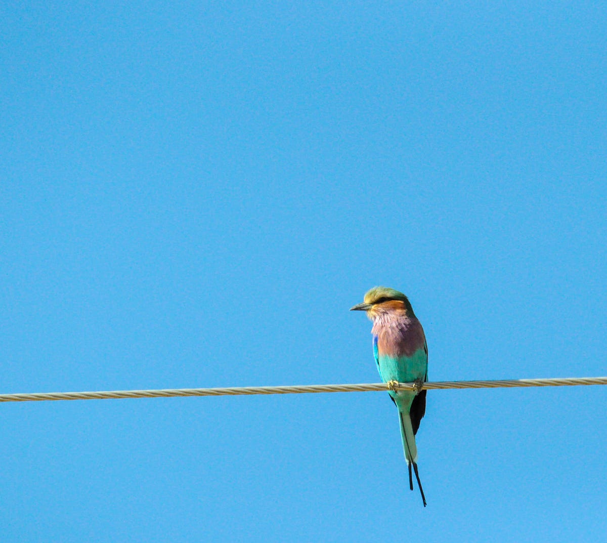 Some Useful RxJS Transformation Operators | by John Au-Yeung | Level Up Coding