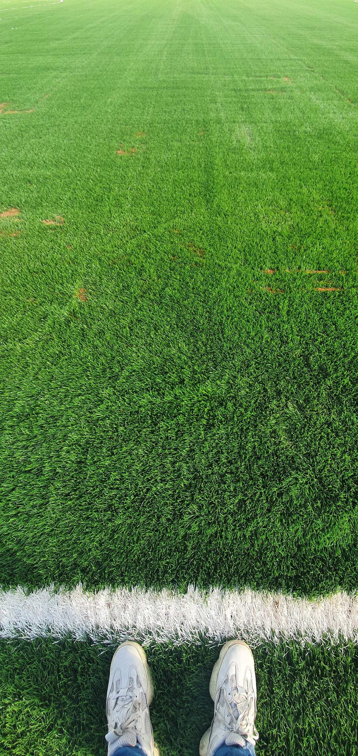 The Grass is not Always Greener. but not when you really zoom in | by Karen Hoffman | the ...