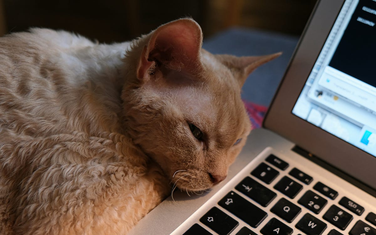 How to Reduce Productivity. A detailed guide to all the bosses and ...