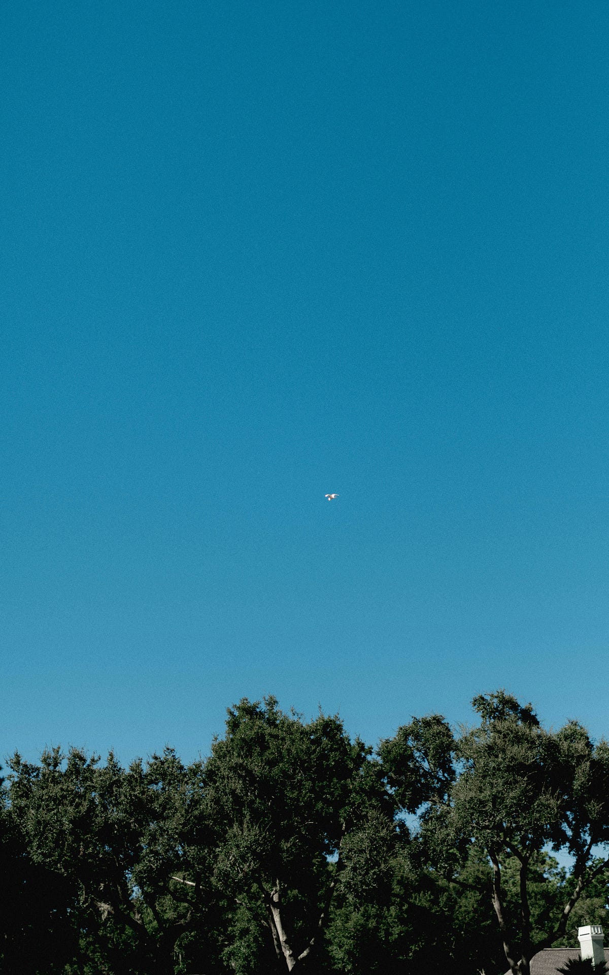 You Have To Believe In Yourself When Nobody Else Does | by Mia | Medium