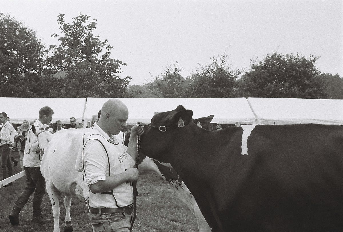 My 4-H Story (Part 1). My time in 4-H had an extreme impact on… | by ...