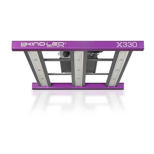 Kind Led | by Thomas Scott | Jul, 2024 | Medium