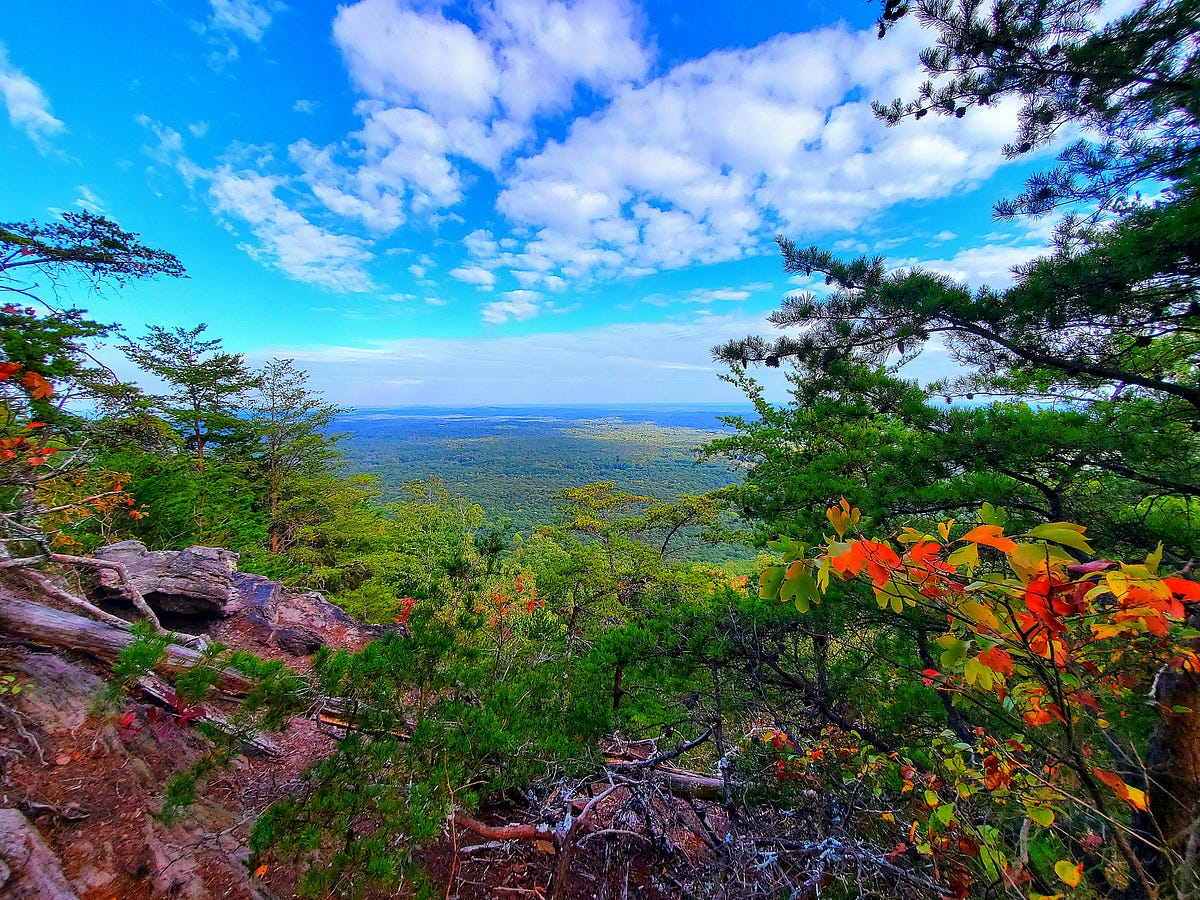 Celebrate Mother Earth. Today and Every day | by Dr. Gabriella Korosi ...