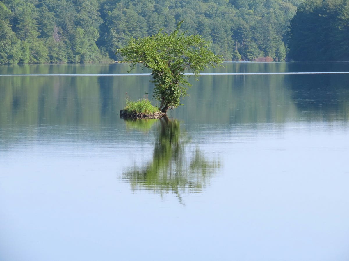 His Morning Eucharist. RW Double Drabble 2.0.236:ephemeral | by Maria Rattray | Fiction Shorts ...