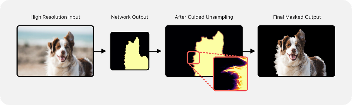 Understanding Apple’s Salient Object Segmentation: How It Works | by ...