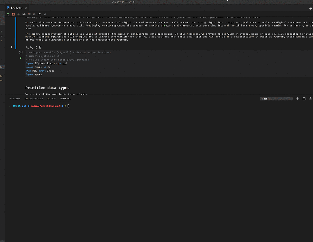 How to use Pipenv with Jupyter and VSCode | by Daniel Deutsch | Towards Data Science