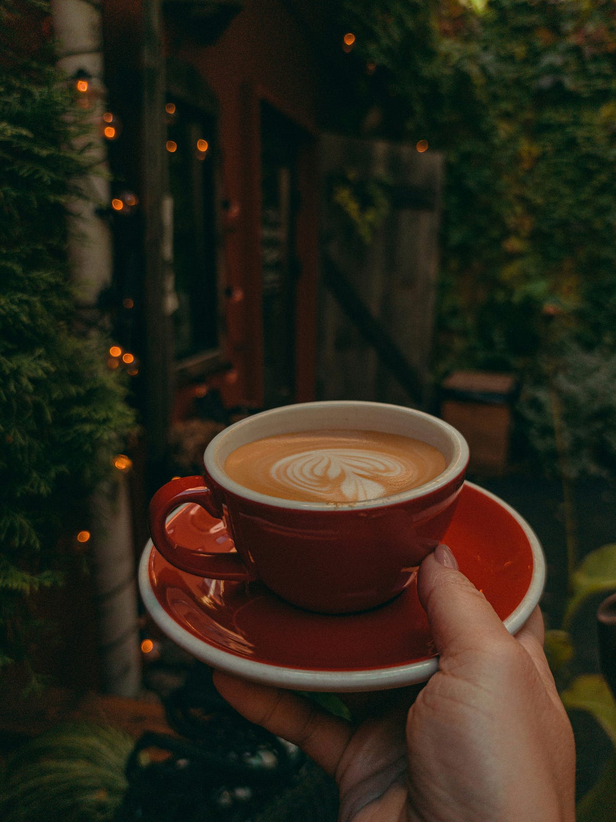 “Every Sip Tells a Story : My Coffee Connection” | by Seema Das | Mr. Plan ₿ Publication | Dec ...