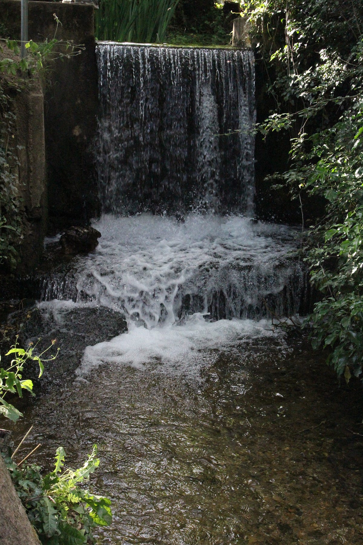 Waterscaping: Challenges and Solutions | by Akhoy Jyoti Chaudhury ...