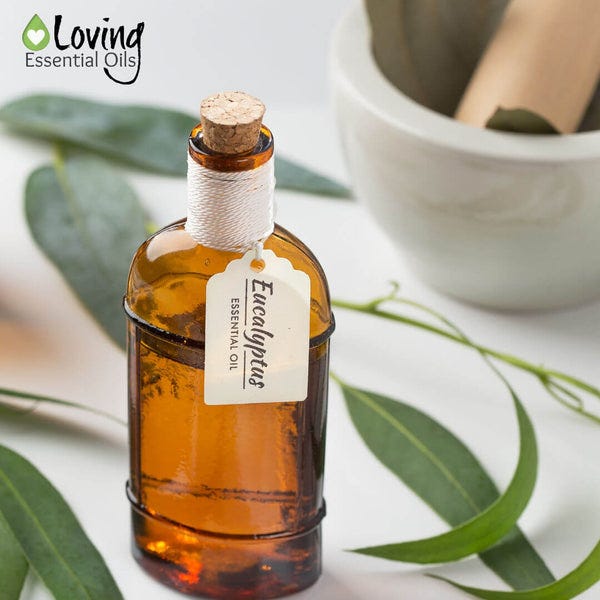 Eucalyptus Diffuser Blends — 10 Respiratory Essential Oil Recipes | by ...