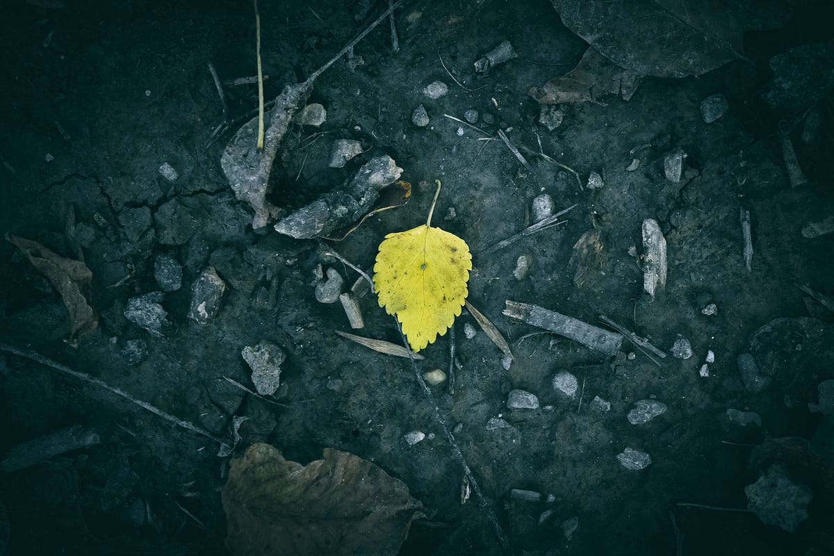 Pergilah - Meja Sajak - Medium