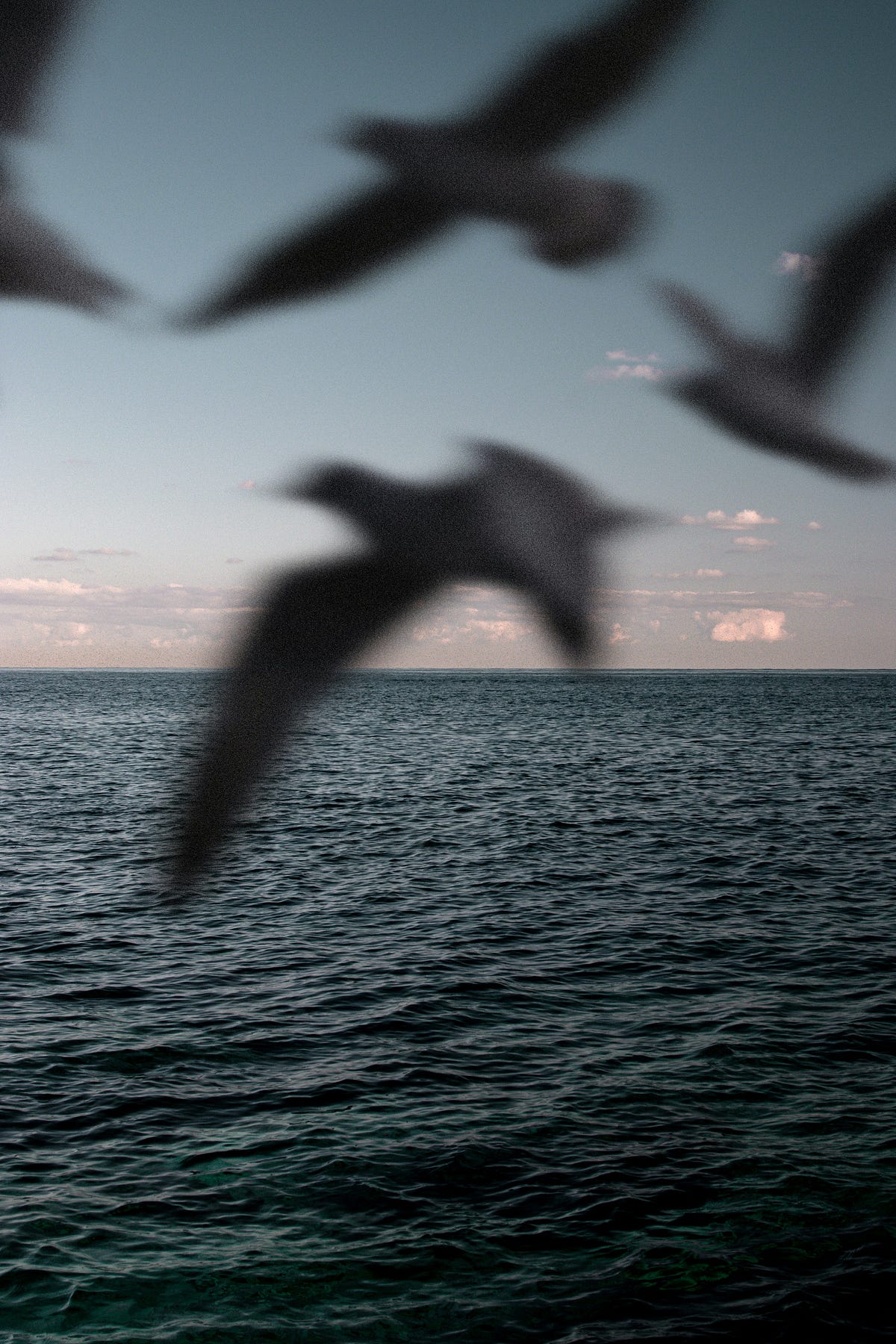 the mercy of time is the softening of memory harsh edges dulled by ...