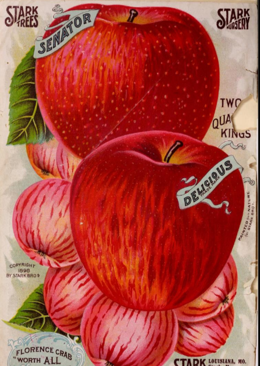 5 Vintage Vegan-Friendly Beauty Foods | by Danielle Herring | Plant Based Past | Medium