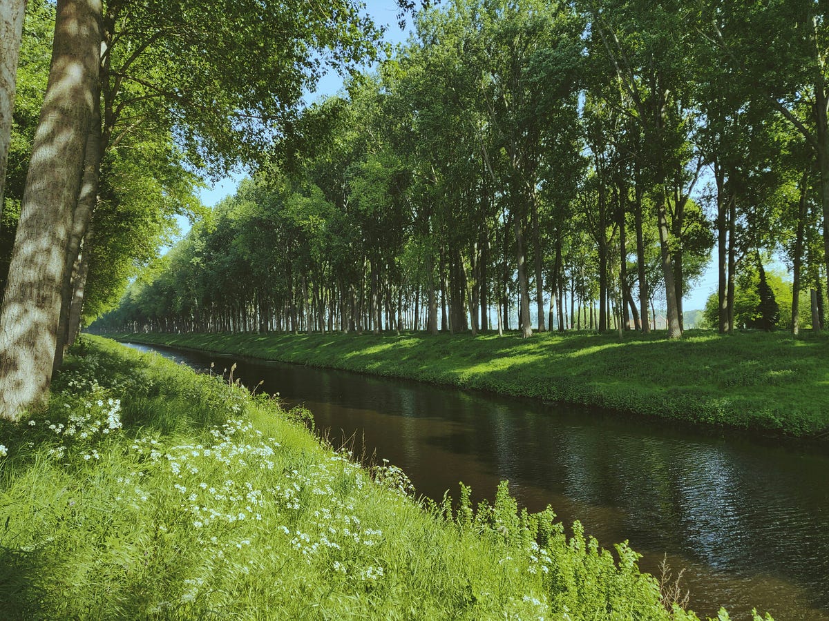 Redemption on the Canals 2. Max and Emily became local heroes… | by ...