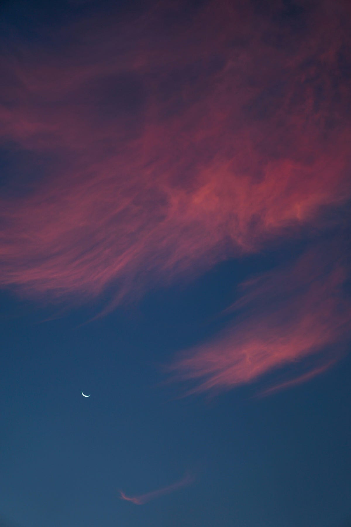 The Science Behind Why 4:30 a.m. Is the Ideal Time to Wake up | by Olly ...