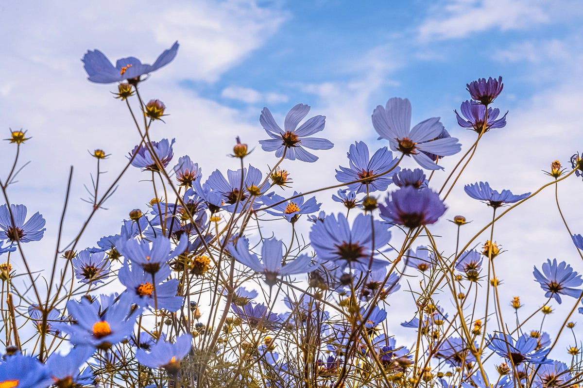 10 Common Mistakes to Avoid While Developing a Spring Boot Application ...