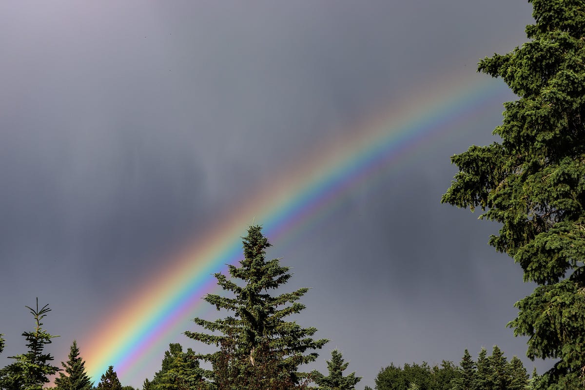 Bahar Yağmuru - Akın Korkmaz - Medium